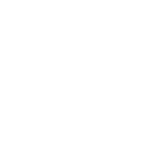 IDHR - INTERNATIONAL LAW, DIPLOMACY & HUMAN RIGHTS